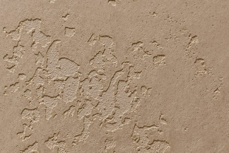 Guide the Types of Stucco in Calgary | Golden Trowel Stucco